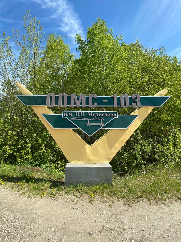 Demiryolu inşaatı ve tamiri ОПМС 103, Moskova ve Moskovskaya oblastı, foto