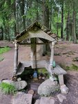 Spring, stream (Leningrad Region, Vsevolozhckiy DIstrict, Toksovskoye gorodskoye poseleniye, gorodskoy posyolok Toksovo), pınar, çay  Saint‑Petersburg ve Leningradskaya oblastından