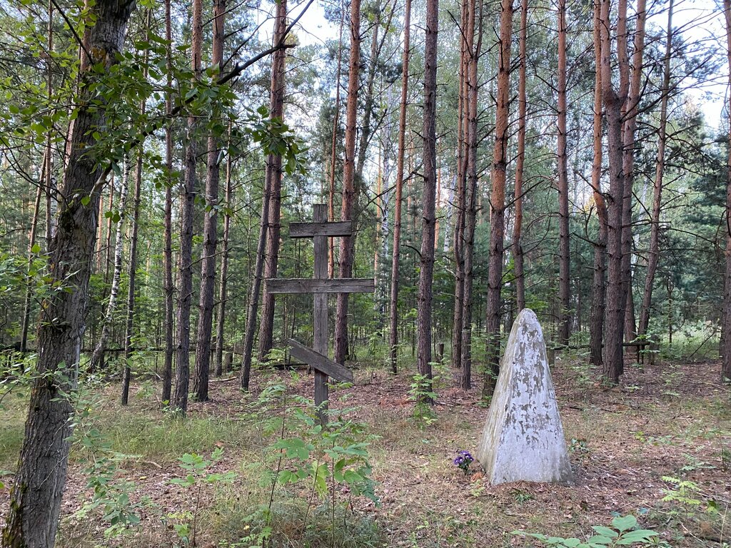 Anıt, heykel Братская могила, Penzenskaya oblastı, foto