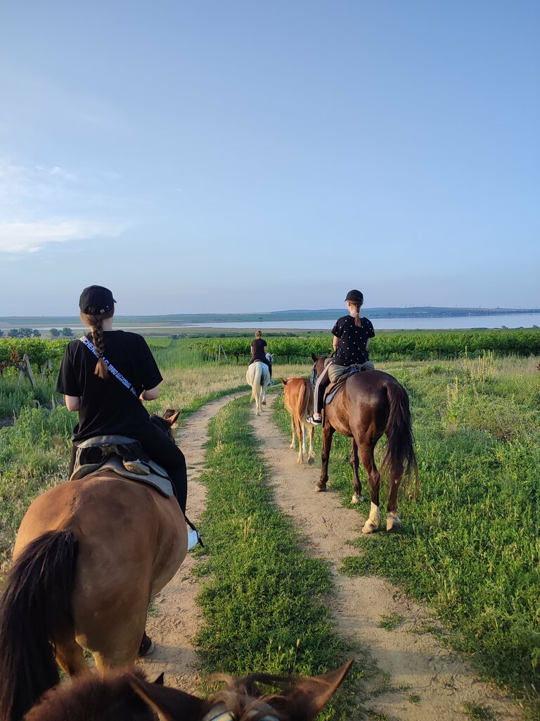 At ve binicilik kulüpleri Фанагория, Krasnodarski krayı, foto