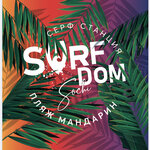 Surf dom (Krasnodar Territory, Sochi, Adler, Tsentralniy Microdistrict), kürek sörfü  Soçi'den