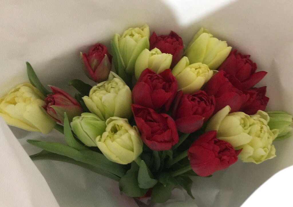 Çiçekçiler Cvetimira, Moskova, foto