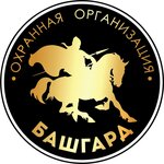 BashGuard (Magnitogorsk, Lenina Avenue, 10), security company  Magnitogorsk'tan