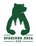 Брянские леса (bulvar Gagarina No:27), demiryolu inşaatı ve tamiri  Briansk'tan