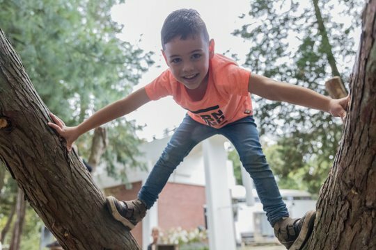 Anaokulları Humankind - Bso Alles Kids, Gelderland, foto