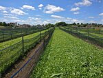 Che Lumaca! (Friuli-Venezia Giulia, Provincia di Udine, Colloredo di Monte Albano), kozmetik ve parfümeri mağazaları  Friuli‑Venezia Giulia'dan
