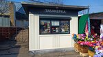 Табакерка (Gomiel, Sielmash Microdistrict), tütün, sigara mağazaları  Gomel'den