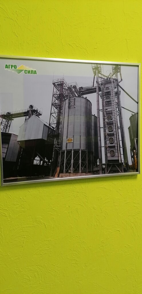 Endüstriyel inşaat АгроСила, Tula, foto