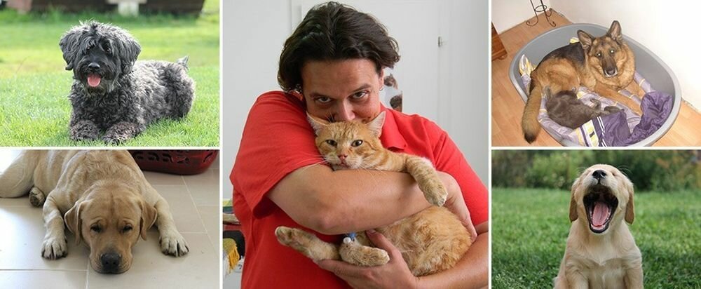 Veteriner klinikleri Kleintierpraxis Mag. Angelika Putzenbacher, Yukarı Avusturya, foto