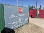 Рыбинспекция (Podvishenskaya ulitsa No:1), devlet denetim organları  Pskov'dan