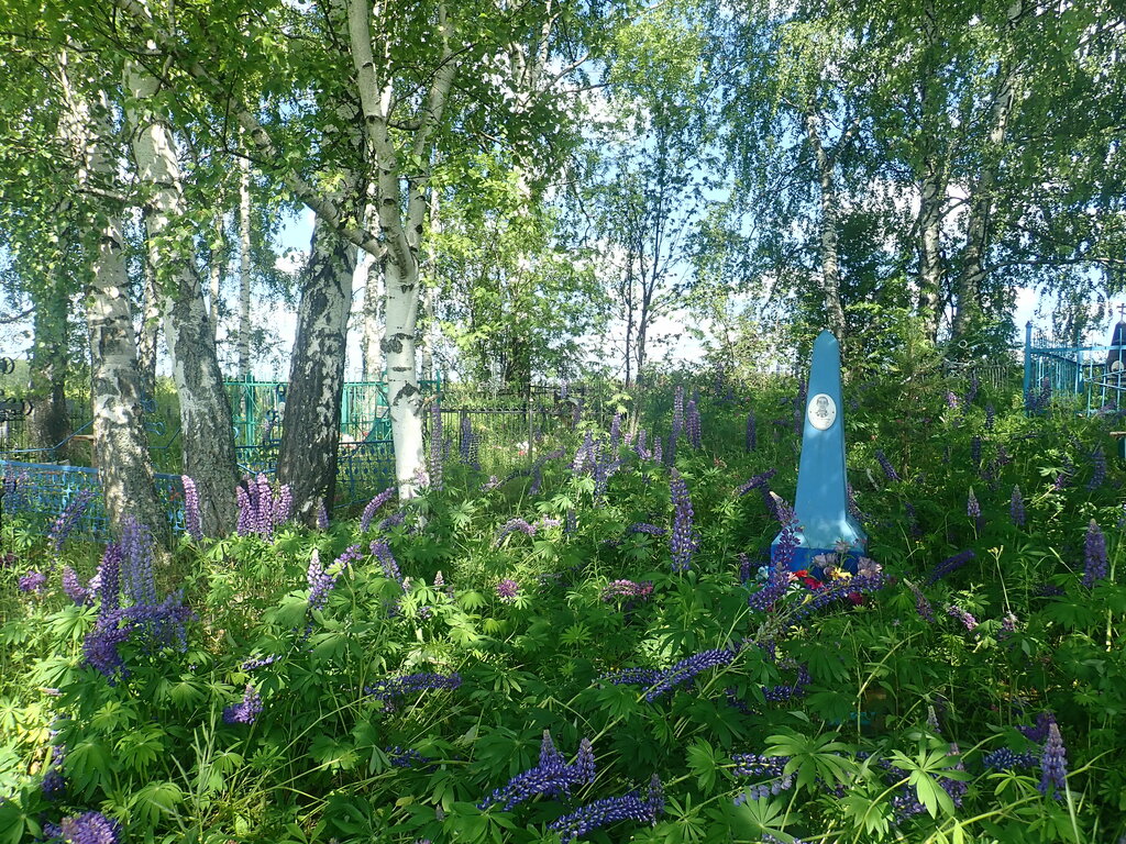 Mezarlıklar Ларионовское кладбище, Vladimirskaya oblastı, foto