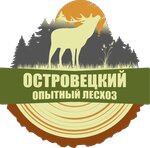 GLKhU Ostrovetsky leskhoz (vulica Valadarskaga No:57, Astraviec), orman işleri  Ostrovets'ten