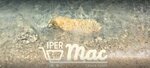 Ipermac - Cortini Benito Ingrosso (Emilia-Romagna, Forlì-Cesena, Via Campo dei Fiori, 7), beyaz eşya mağazaları  Emilia‑Romagna'dan