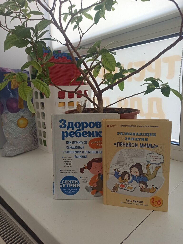 Çocuk gelişim merkezleri Клевер, Sarov, foto