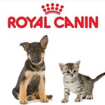 Pet store (Zheleznodorozhnaya Street No:39с2, rabochiy posyolok Monino), petshop  Moskova ve Moskovskaya oblastından