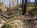 Spring, stream (Ulyanovsk Region, gorodskoy okrug Novoulyanovsk), pınar, çay  Ulyanovskaya oblastından