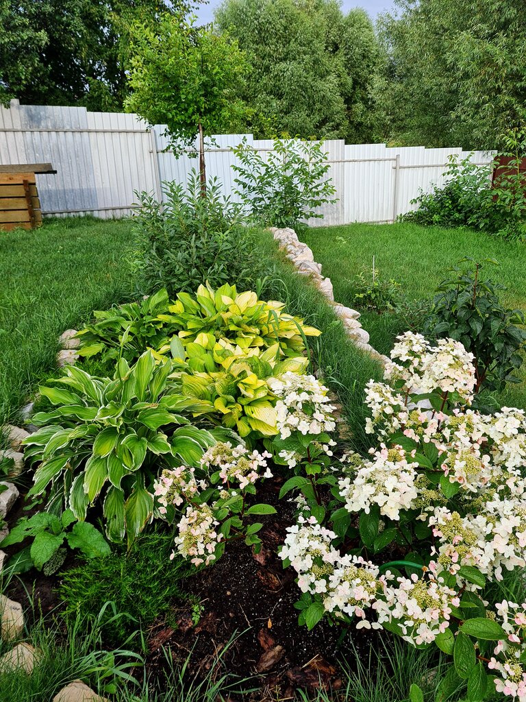 Sera ve bahçe ürünleri Pitomnik khvoynykh i listvennykh porod Yukhnovsky, Yuhnov, foto