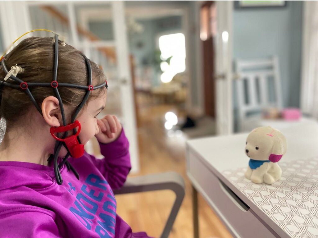 Alternatif tıp merkezleri Brainboost Midwest, Louisville, foto