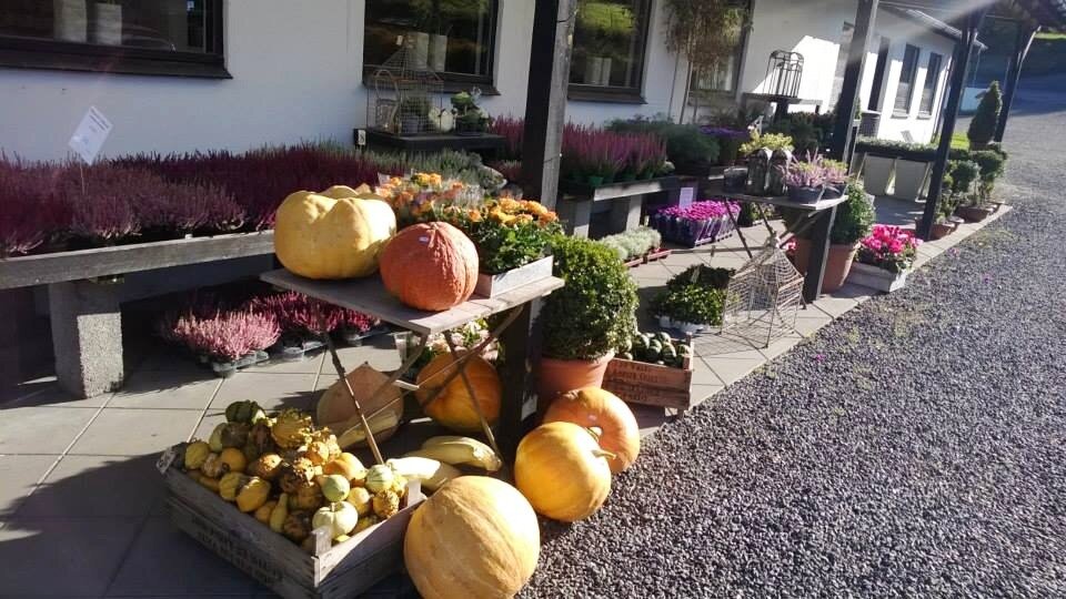 Çiçek teslimatı Fyrkat Blomster, Kuzey Danimarka, foto
