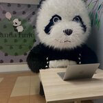 Panda Time (Kulakova Avenue No:3А, Kursk), çocuklar için kutlama organizasyonları  Kursk'tan