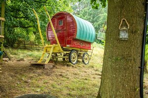 Faraway Follies (Wales, Denbighshire), otel  Galler'den