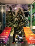 Deep Green Grow Shop (Viale Galileo Galilei No:43, Ravenna), çiçek teslimatı  Ravenna'dan