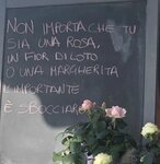 Area Fiori The Flower Shop (Via Dante No:100, Cremona), çiçek teslimatı
