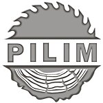 Ahşap endüstrisi Pk Alexovchinskii, Saint‑Petersburg ve Leningradskaya oblastı, foto