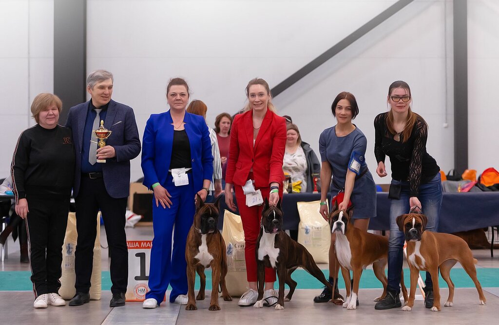 Evcil hayvan yetiştiricileri Niking-Var-Khard, Saint‑Petersburg, foto