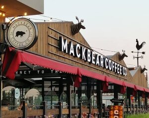 Kahve dükkanları Mackbear Coffee Co, Niğde, foto