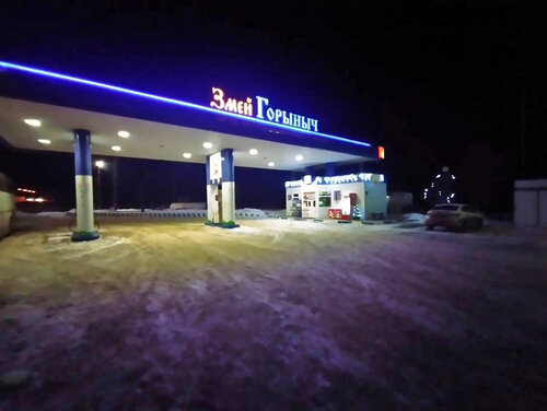 Benzin istasyonu Змей Горыныч, Riazanskaya oblastı, foto