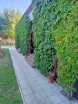 Жильё у Владимира (Naberezhnaya ulitsa No:26, Yarovoye), resort oteller, tesisler  Yarovoye'den