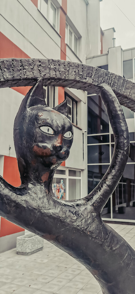 Park, sokak heykeli Чёрный кот, Riazan, foto