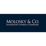 Molosky & Co (Michigan, Emmet County), avukatlar  Michigan Eyaleti'nden