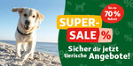 Fressnapf Osnabrück II (Lower Saxony, Osnabrück, Iburger Straße, 225), petshop  Osnabruck'tan