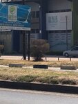 Blue drop (Lusaka, Lusaka, Matero), banyo ve klozet mağazaları  Lusaka'dan
