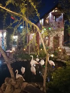 Qala Restoran (Şəmkir rayonu), restoran  Şemkir Rayonu'ndan