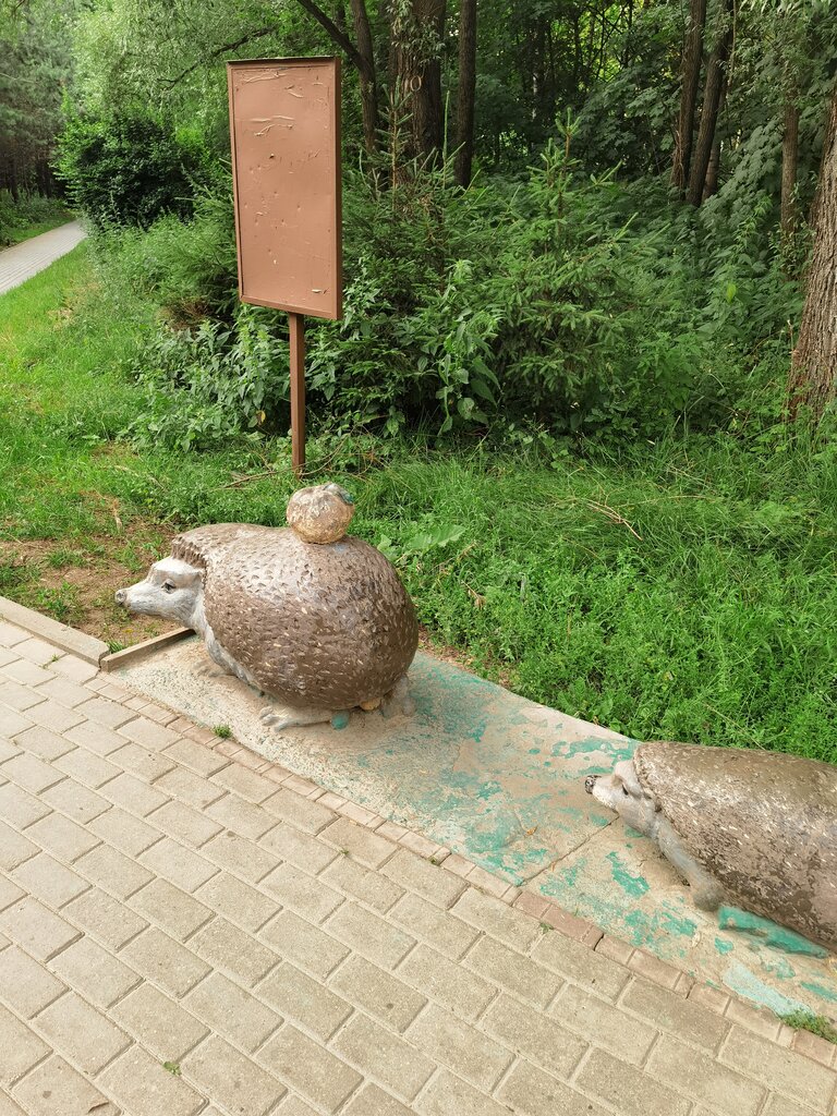 Turistik yerler Дом ежа, Moskova, foto