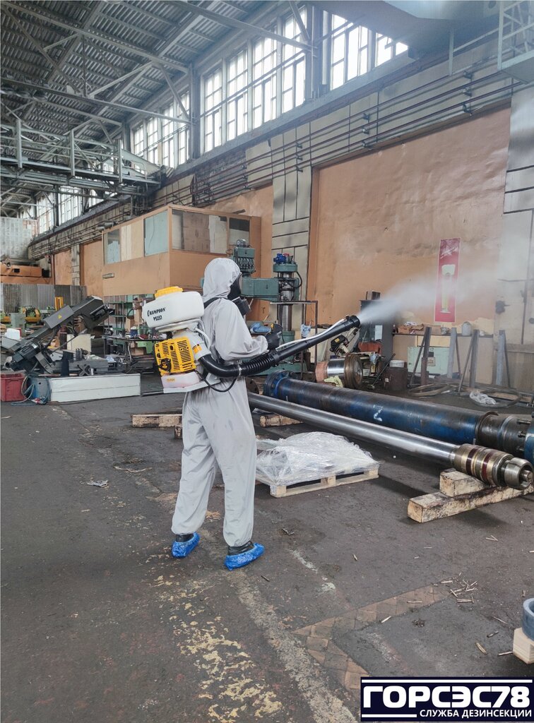 Haşere ilaçlama firmaları Disinsection, disinfection and deratization service, Saint‑Petersburg, foto