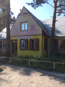 Дранишников пирог (Sosnovaya ulitsa No:1А, derevnya Dranishniki, Russian Federation), ekmek fırını