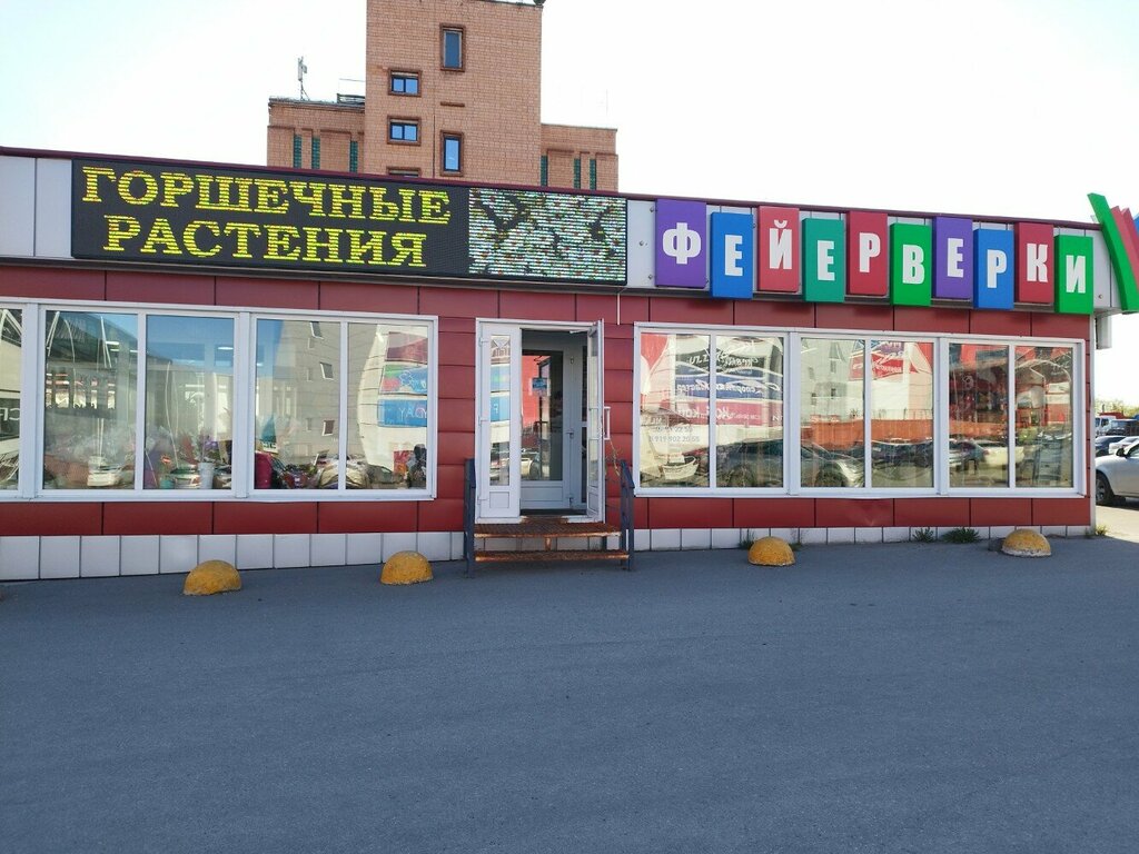 Çiçekçiler Цветы фейерверки, Izhevsk, foto