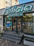 Felicia (strada Vasile Dokuceaev No:6, Chisinau), eczaneler  Kişinev'den