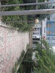 Aruulan (No:13Б, Toloikon microdistrict, Osh), eğitim merkezleri  Osh'tan