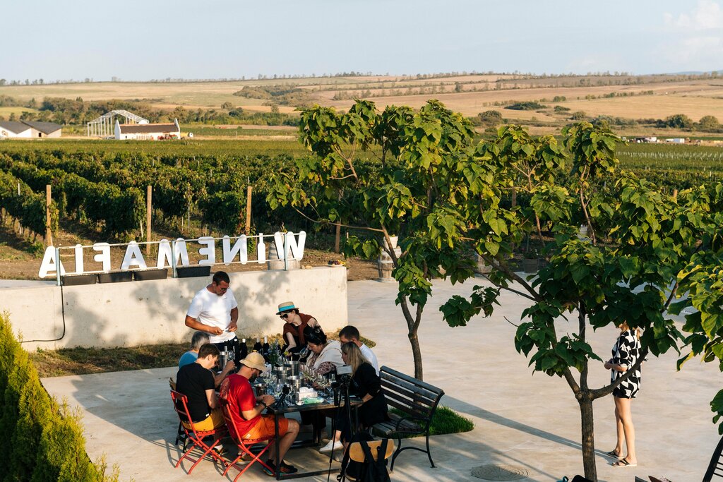 Şarap ve içki toptan satışları WINEMAFIA, Moskova, foto