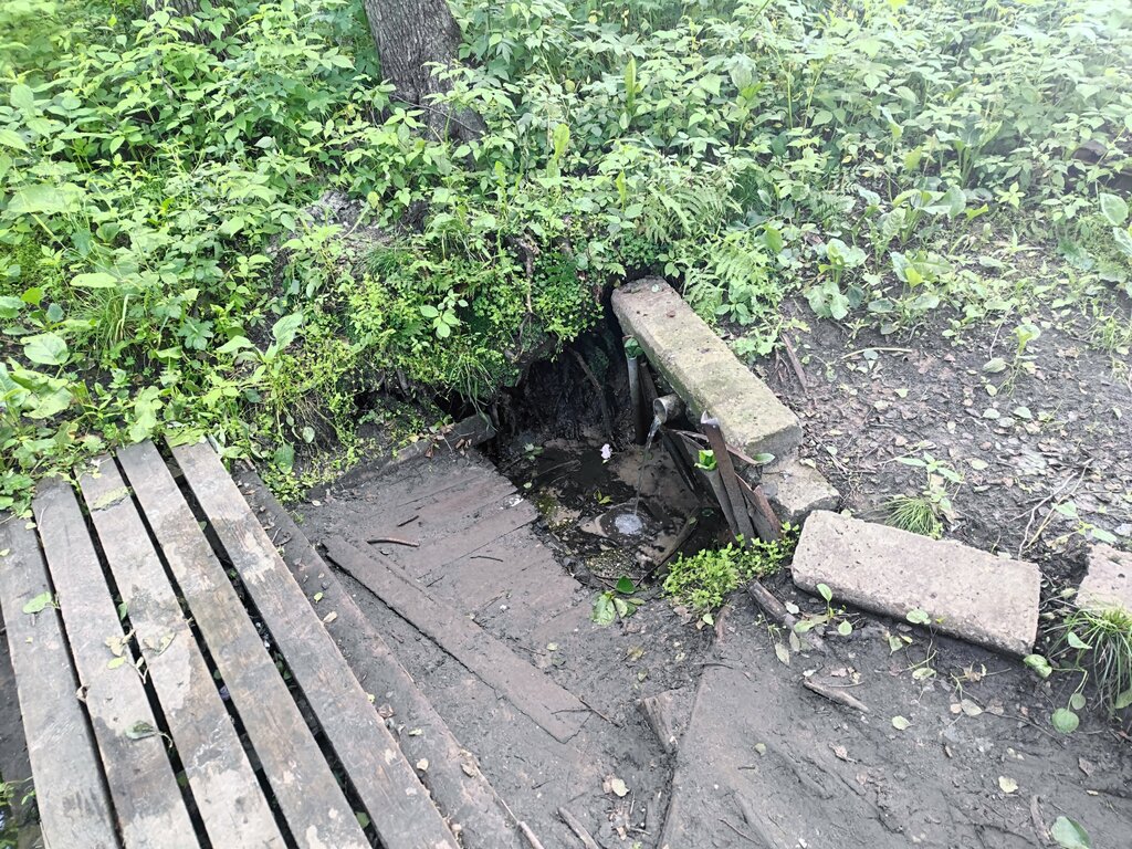 Pınar, çay Spring, stream, Moskova ve Moskovskaya oblastı, foto