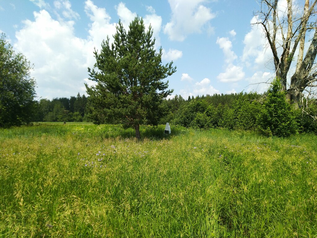 Anıt, heykel В память жителям деревни Медвежка 1796-1954 гг., Sverdlovskaya oblastı, foto