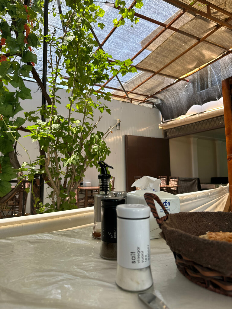 Kafe Denov Diydor, Taşkent, foto