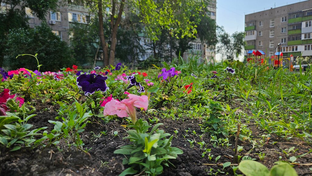 Kültür ve eğlence parkları Сиреневый сквер, Magnitogorsk, foto