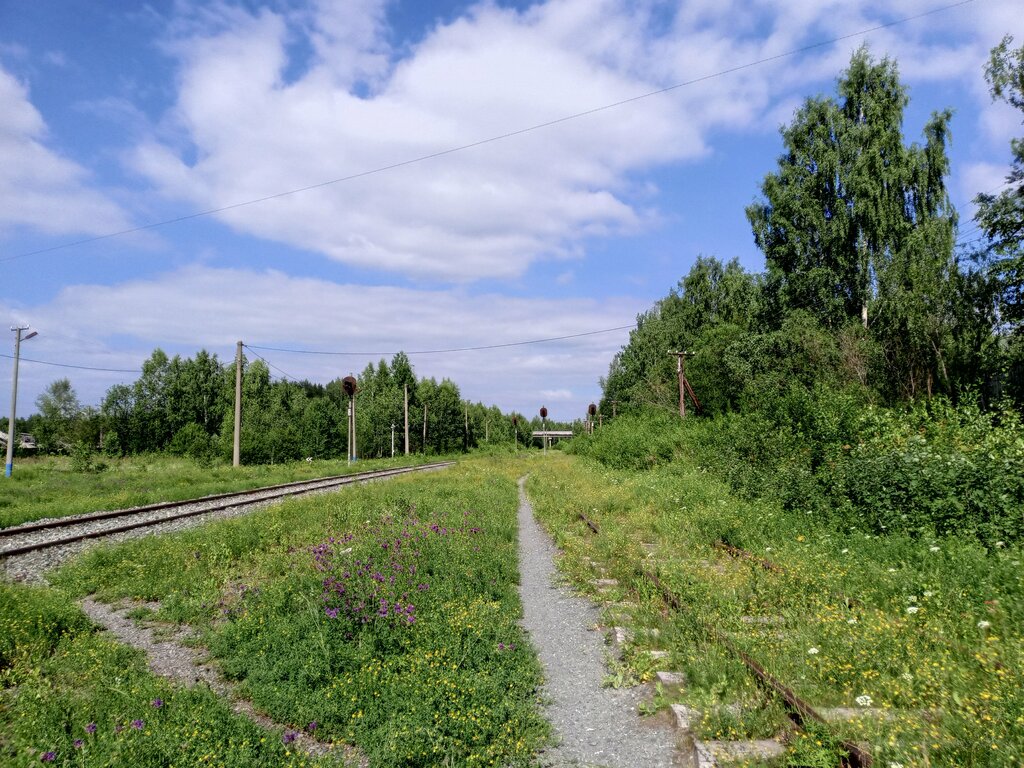 Yük istasyonu станция Добрянка, Dobrianka, foto