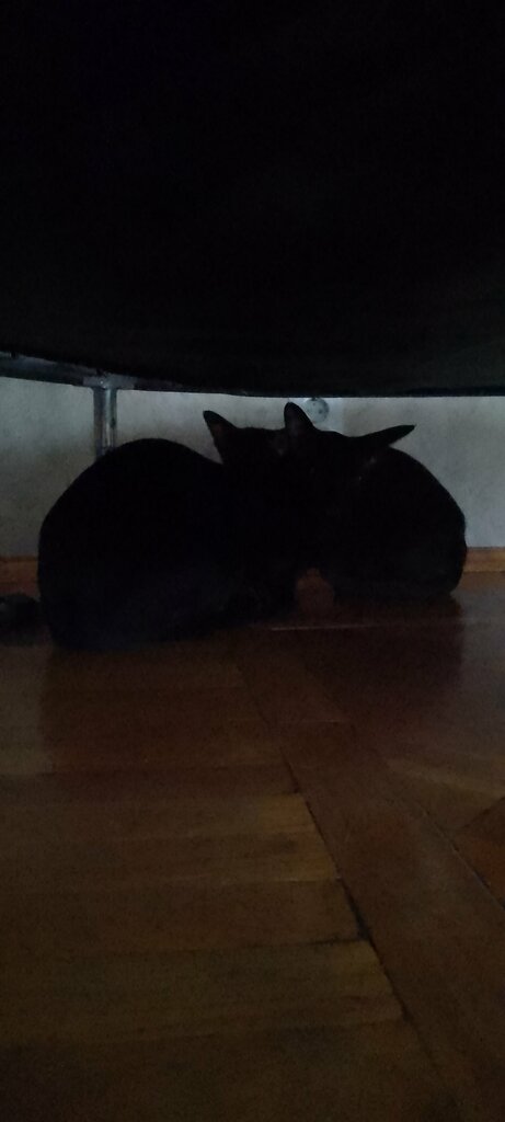 Ehliyet sınav alanı Площадка для вождения, İrkutskaya oblastı, foto